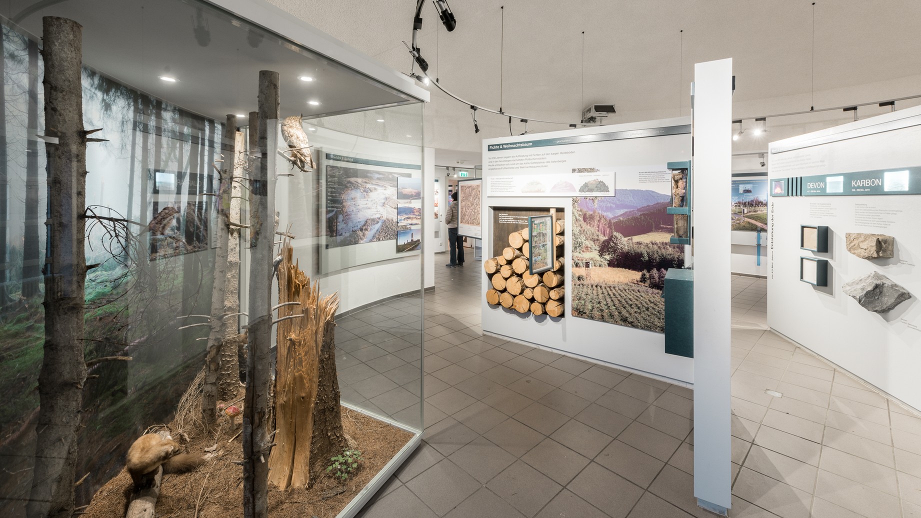 LWL | LwL-Naturkundemuseum-Münster - Besucherzentrum Kahler Asten - LWL ...