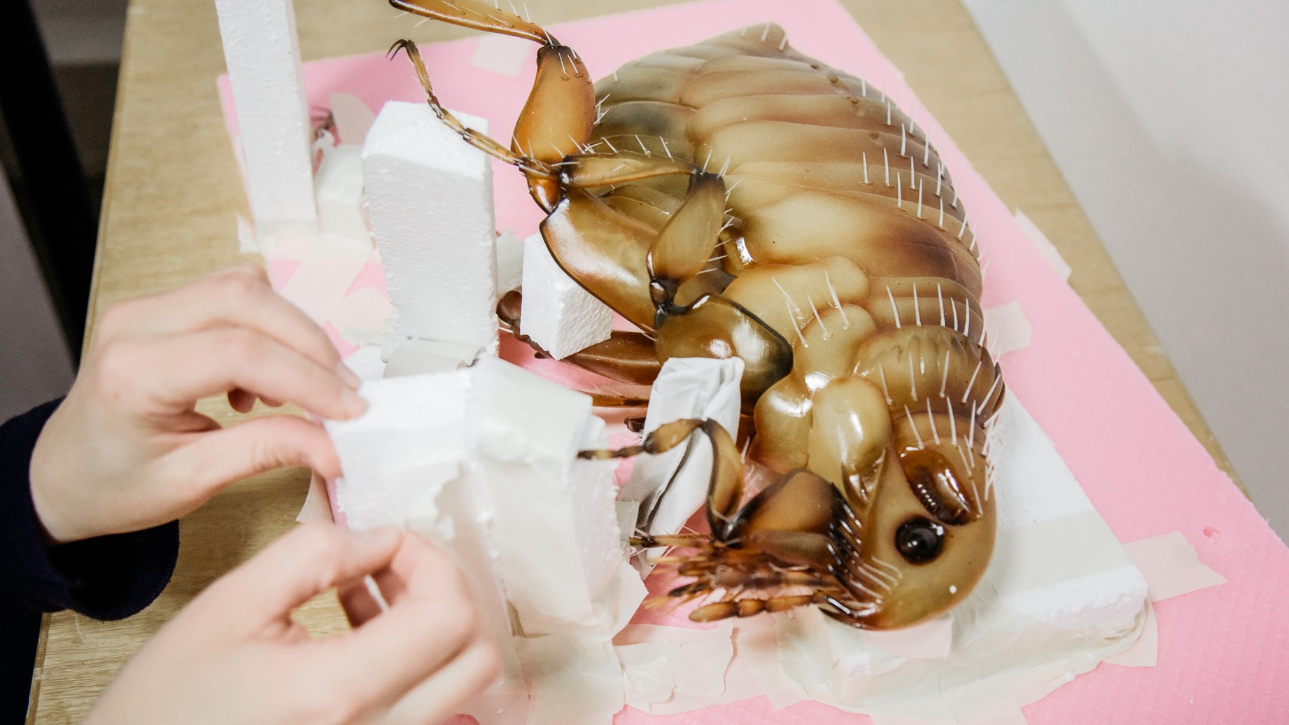 LWL | Beziehungskisten - LWL-Museum für Naturkunde mit Planetarium