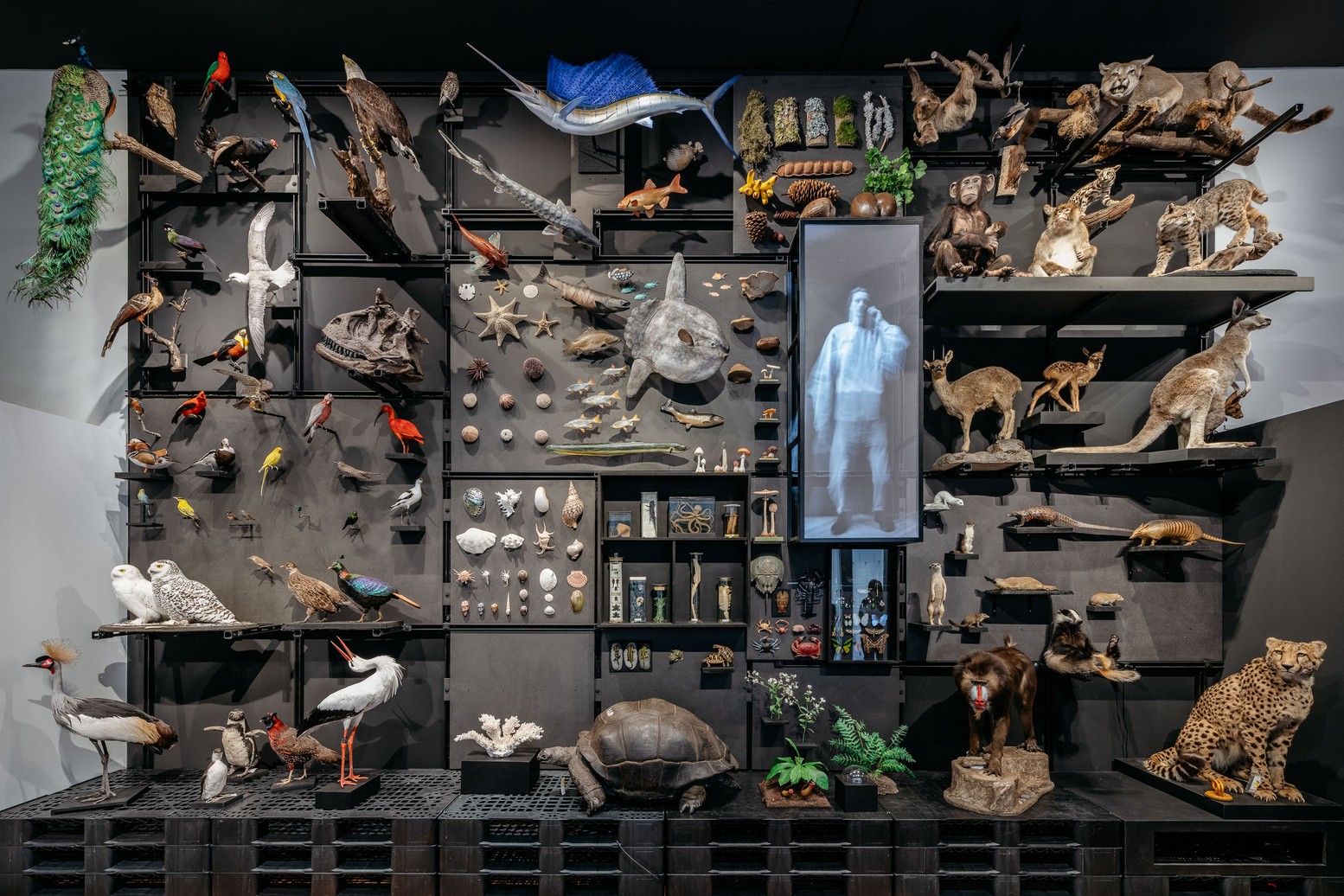 LWL | Gene - Vielfalt des Lebens - LWL-Museum für Naturkunde mit ...