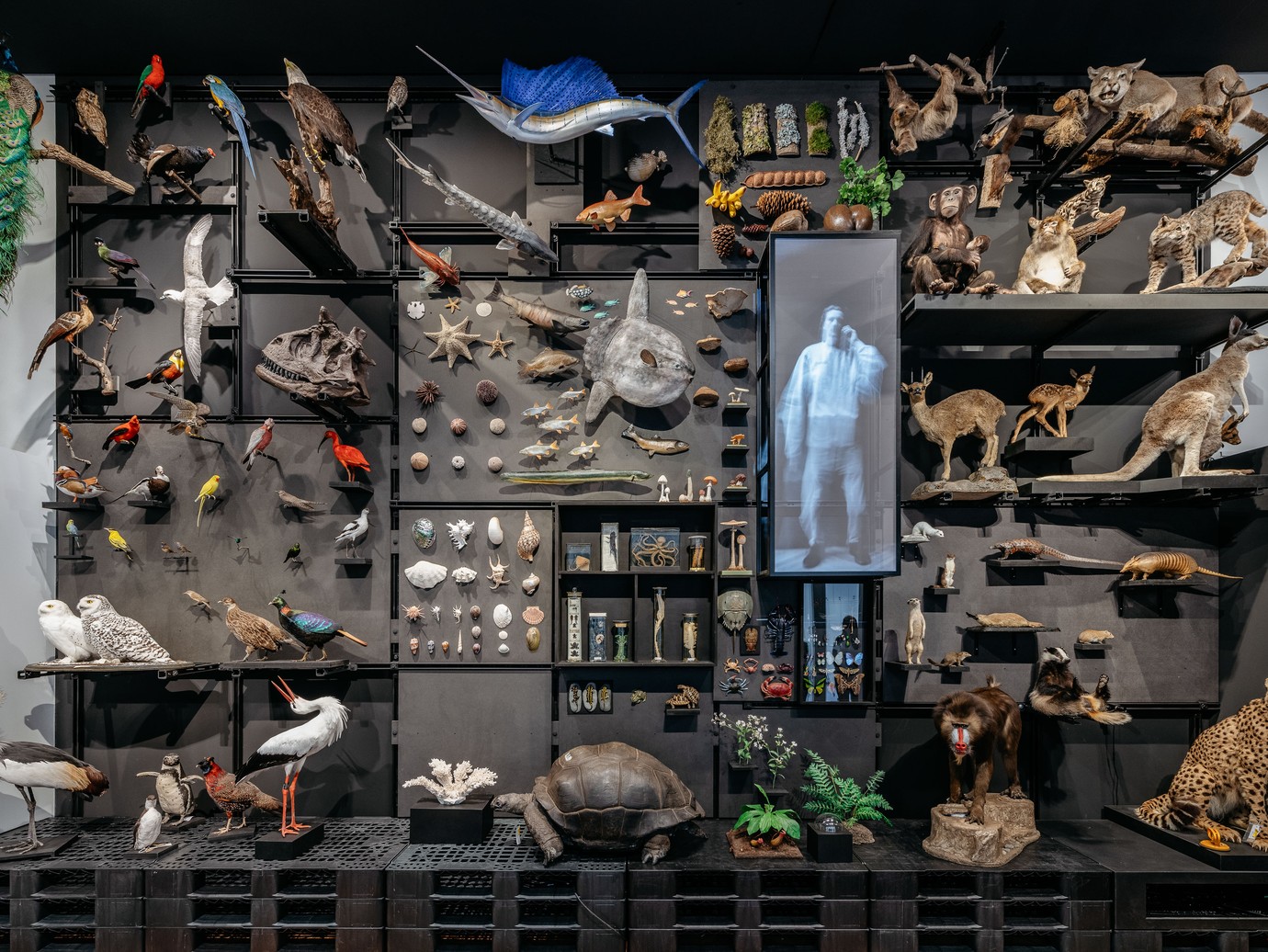 LWL | Gene - Vielfalt des Lebens - LWL-Museum für Naturkunde mit ...